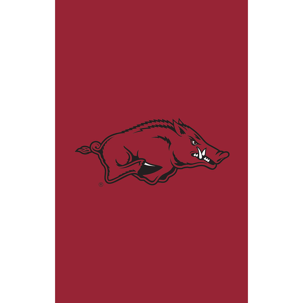Applique Flag, Reg, University of Arkansas – Team Sports America