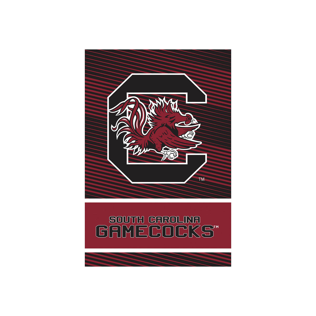 8"x12" Foam Core Wall Decor, University of South Carolina – Team Sports ...
