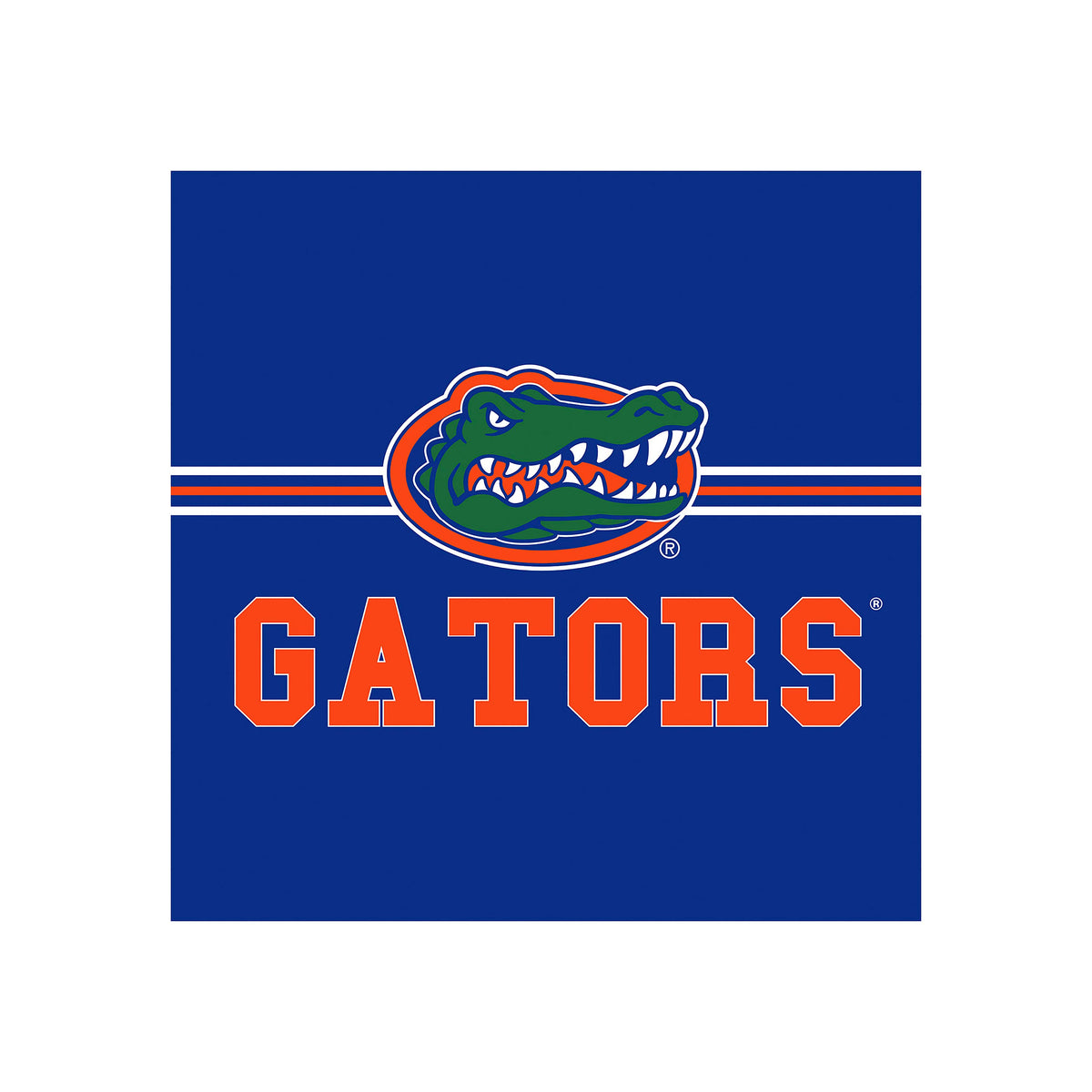 12"x12" Foam Core Wall Decor, University of Florida – Team Sports America