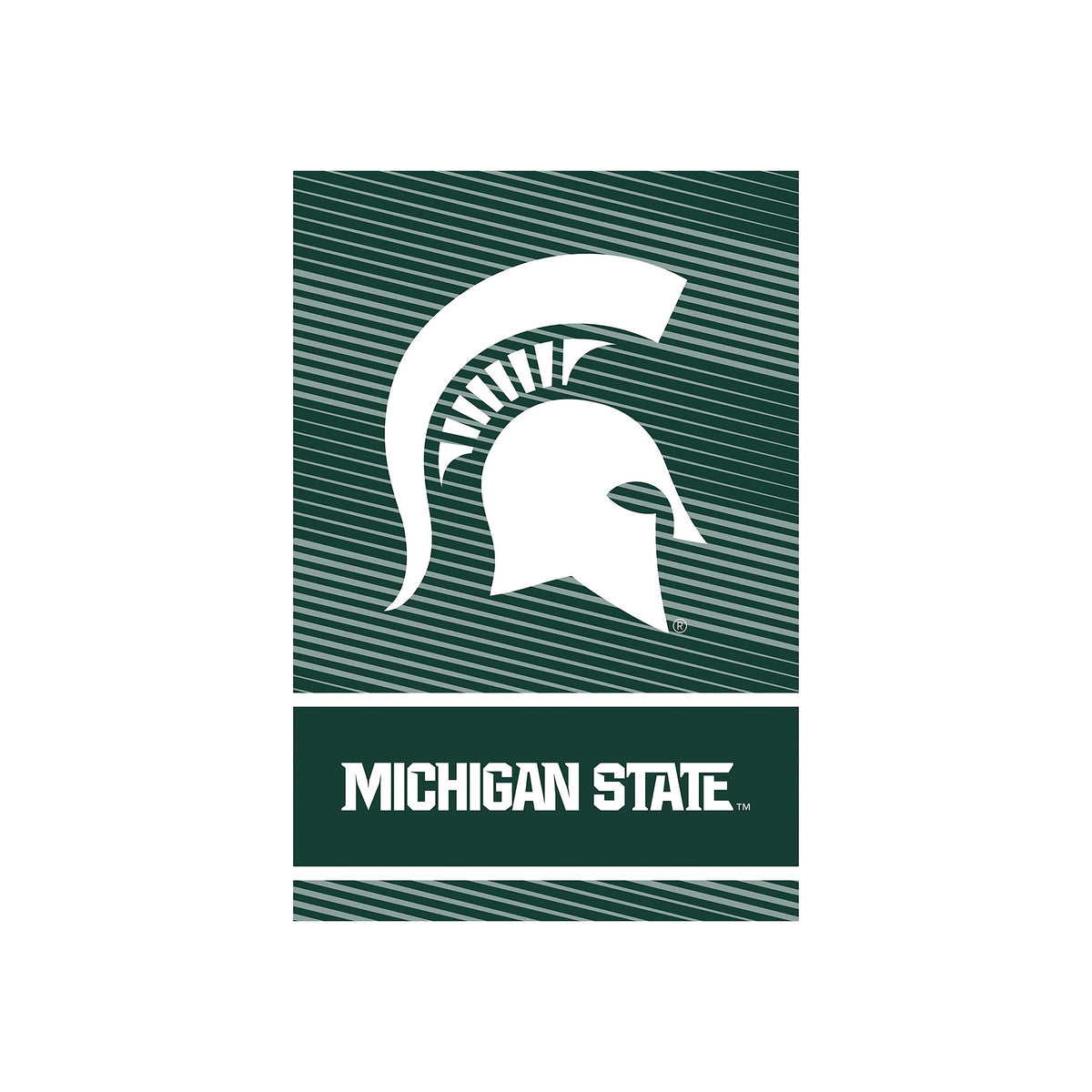 8"x12" Foam Core Wall Decor, Michigan State University – Team Sports ...